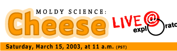Science of Cooking: Moldy Science: Cheese | Exploratorium