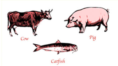 Exploratorium Online Archives