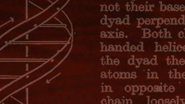 Exploratorium Online Archives